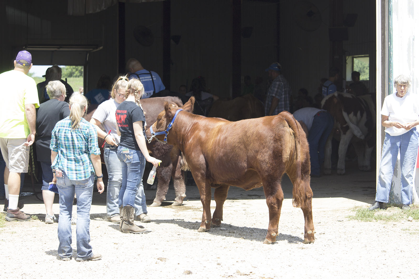 Central Iowa Fair a success | News, Sports, Jobs - Times Republican